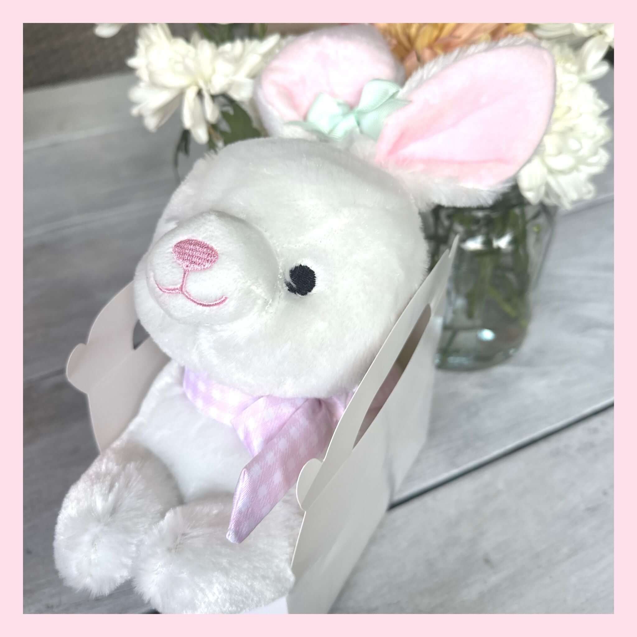 Bunny Adoption Kit – Birthday Fairy - Australia